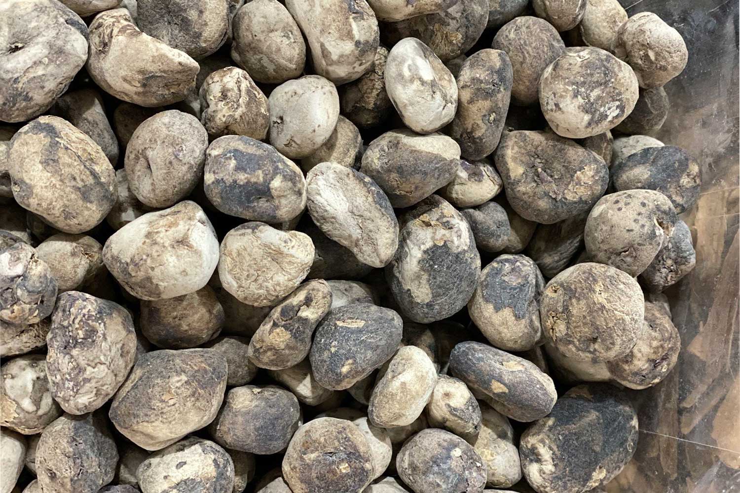 8 increíbles beneficios del chuño - Azafrán Bolivia