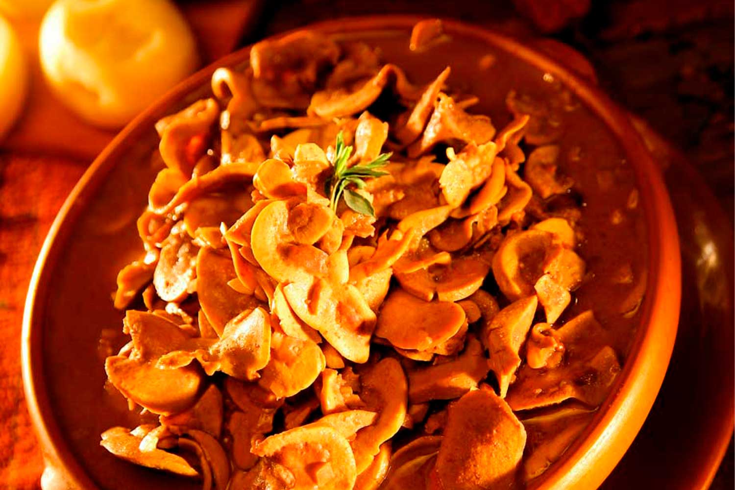 Jolke: un platillo revitalizador del altiplano – Azafrán Bolivia