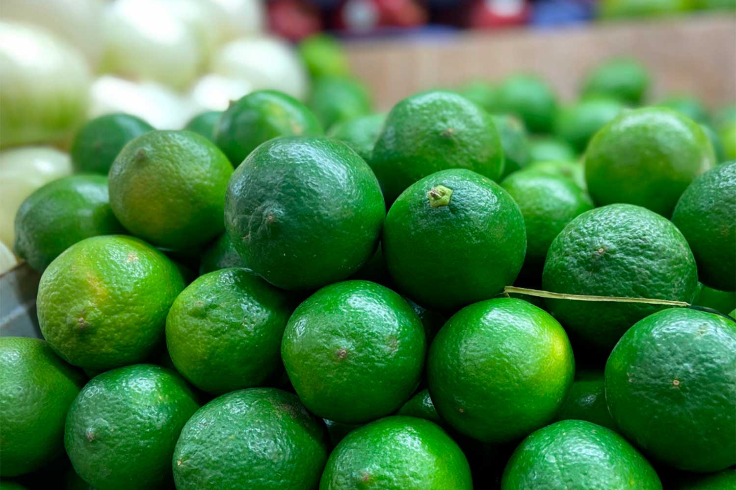 Limón: un fruto con más de 2.500 años de historia – Azafrán Bolivia