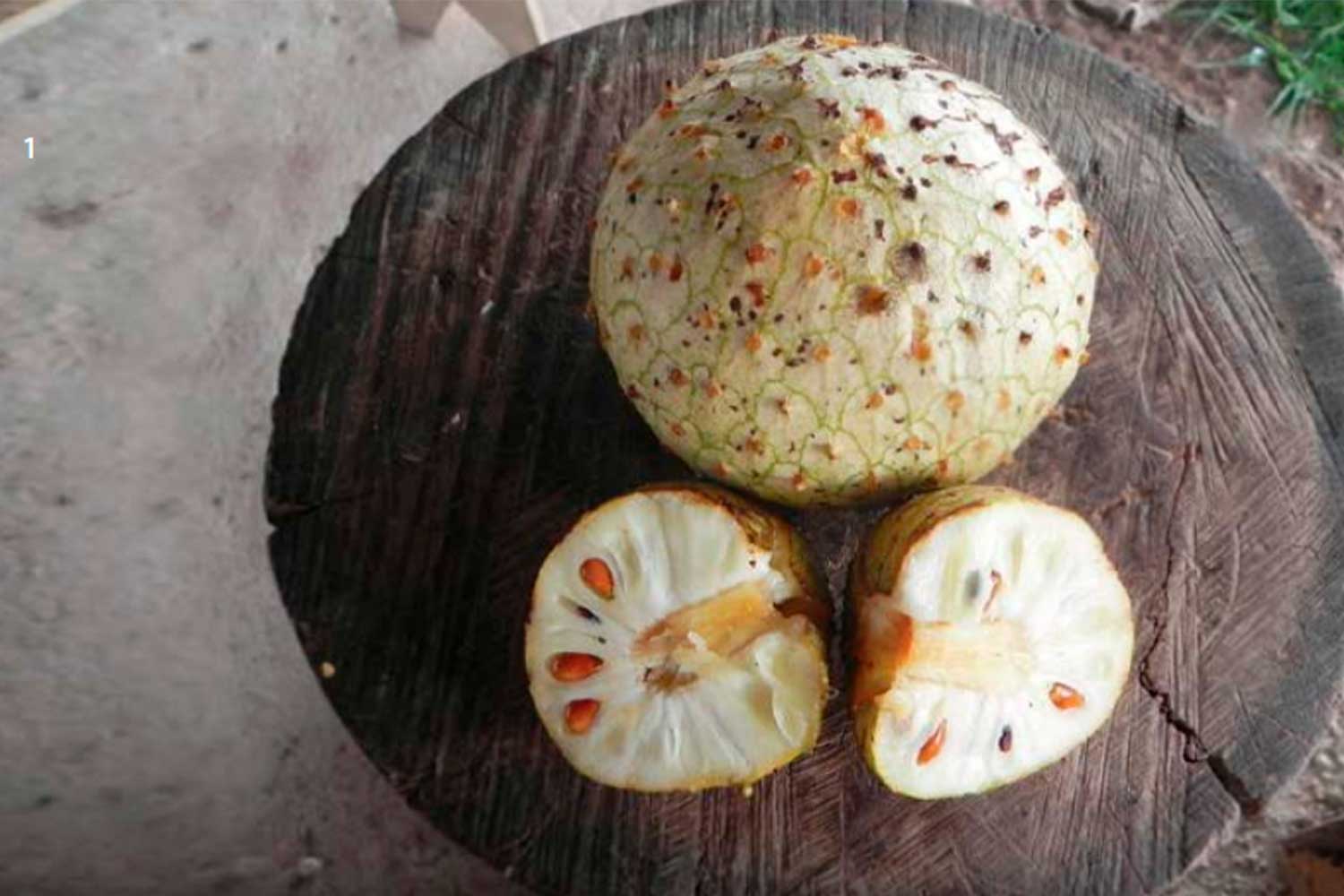 30 Frutos que crecen en Bolivia que debes conocer – Azafrán Bolivia