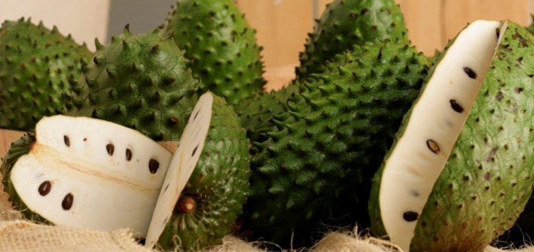 Sinini: una fruta medicinal del trópico - Azafrán Bolivia