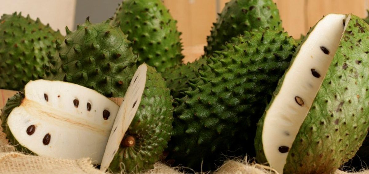 Sinini: una fruta medicinal del trópico – Azafrán Bolivia